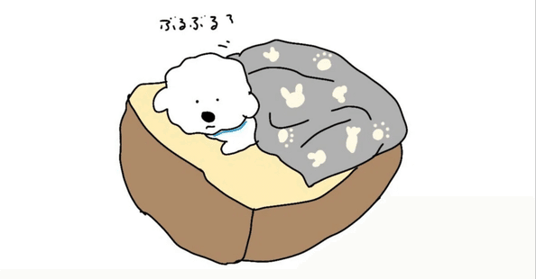 kuma_usagi2025｜note