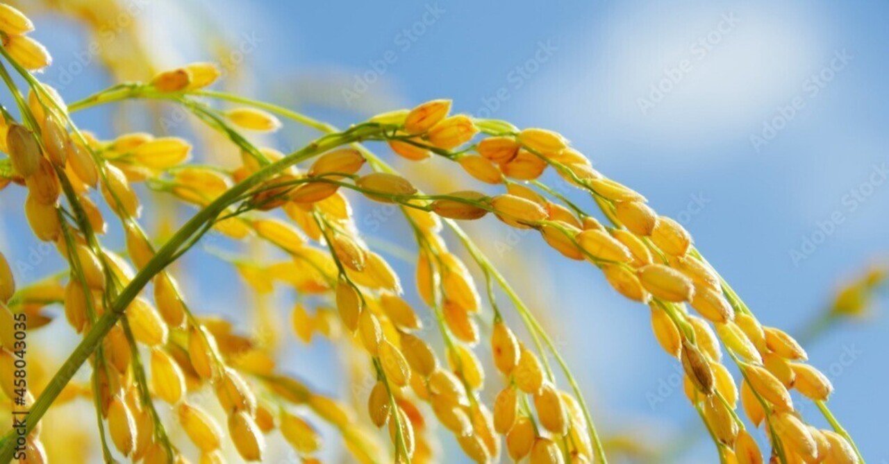 米をどうするかどうするかよりも ｜ゆきえ