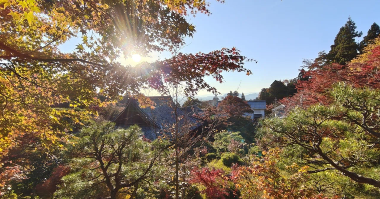 学習欲（マロン君編）｜toyosan