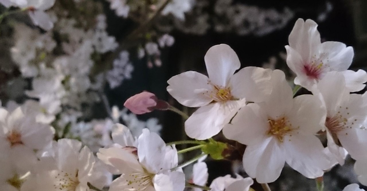 新しく始まっても・・・｜okkn#FFF｜note