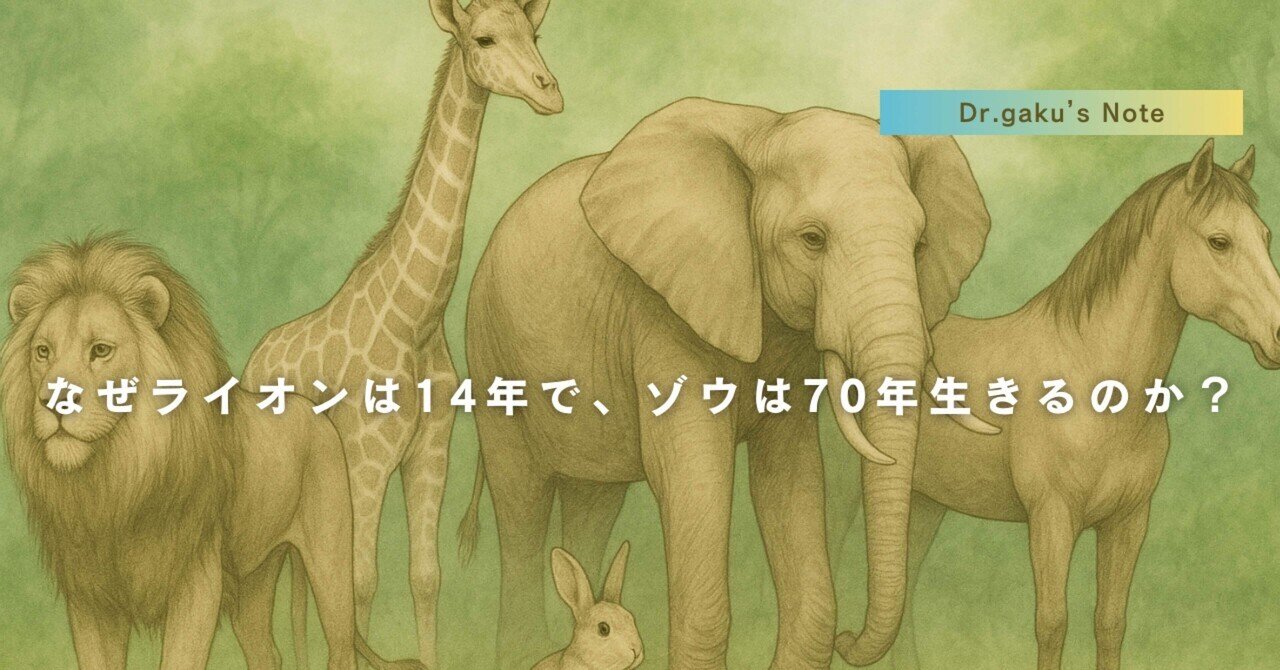 なぜライオンは14年で、ゾウは70年生きるのか？｜Dr.Gaku