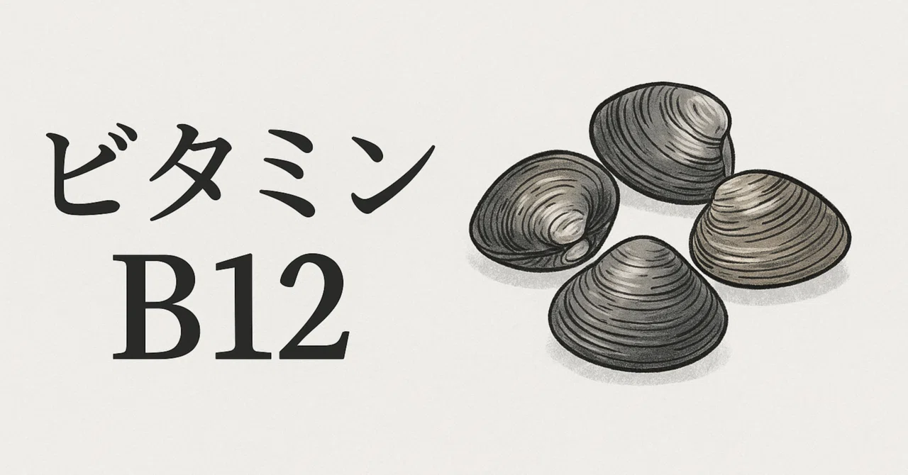 『疲れやすい人が見落とす“たった1つ”の栄養』｜kskb _wellnesslab