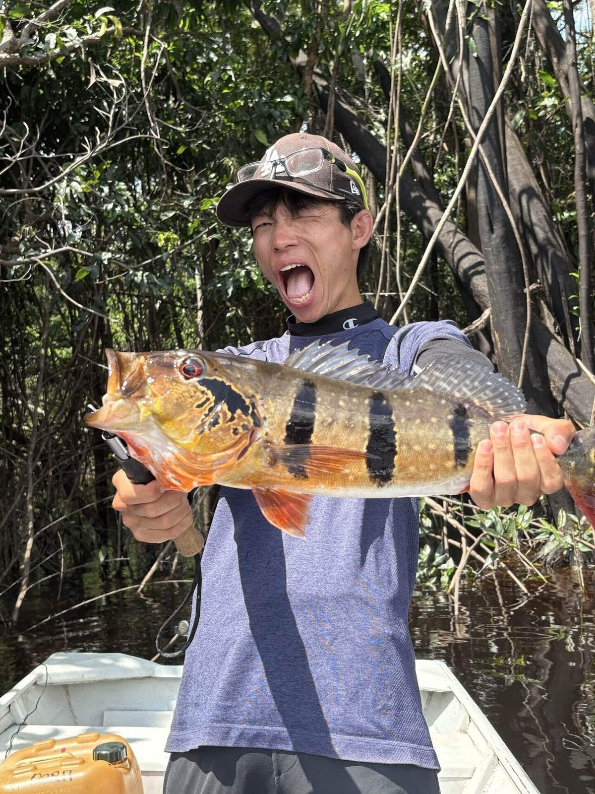 世界最高のゲームフィッシュ、ピーコックバスに挑戦！アマゾン川釣行記②｜Kameda Takeru