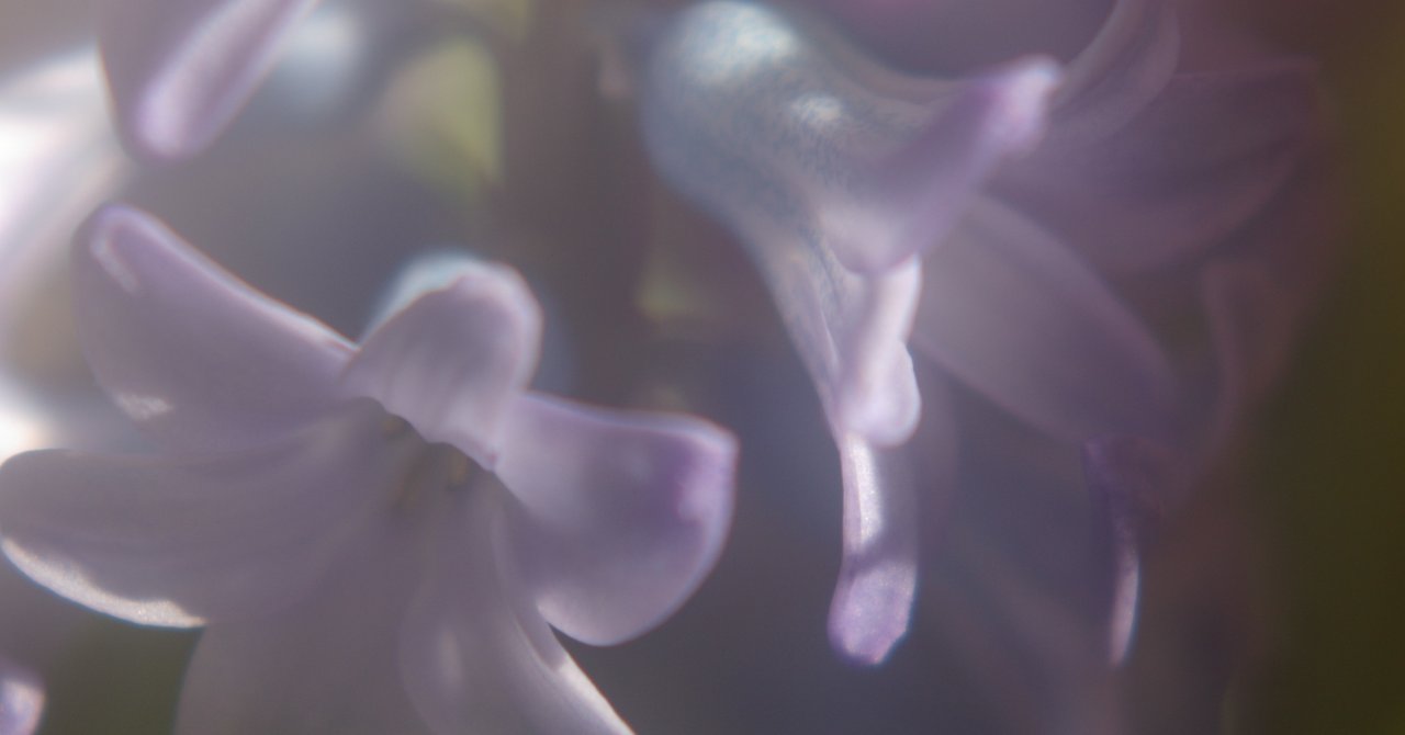 ここ」にいること。・。・。・｜Cosmic Suzu｜note