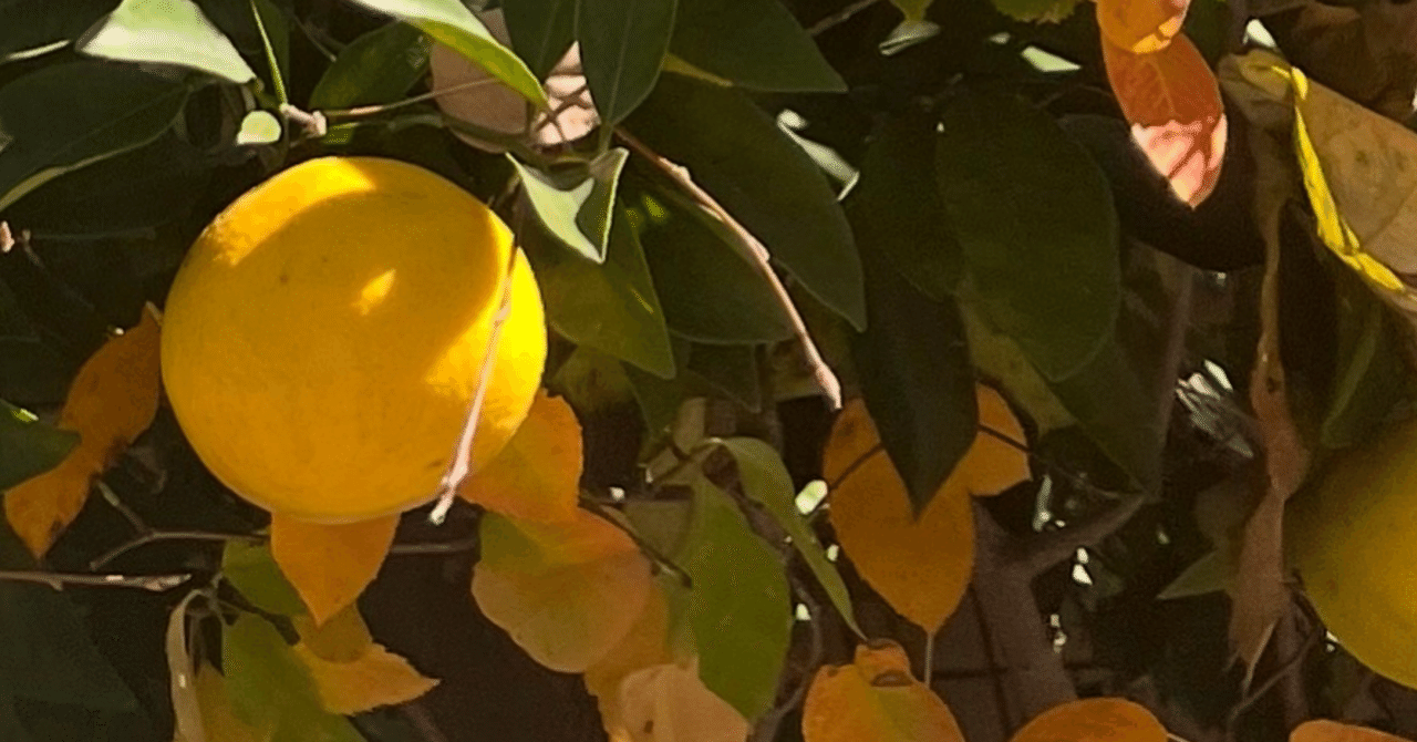 怒るって疲れる｜akon