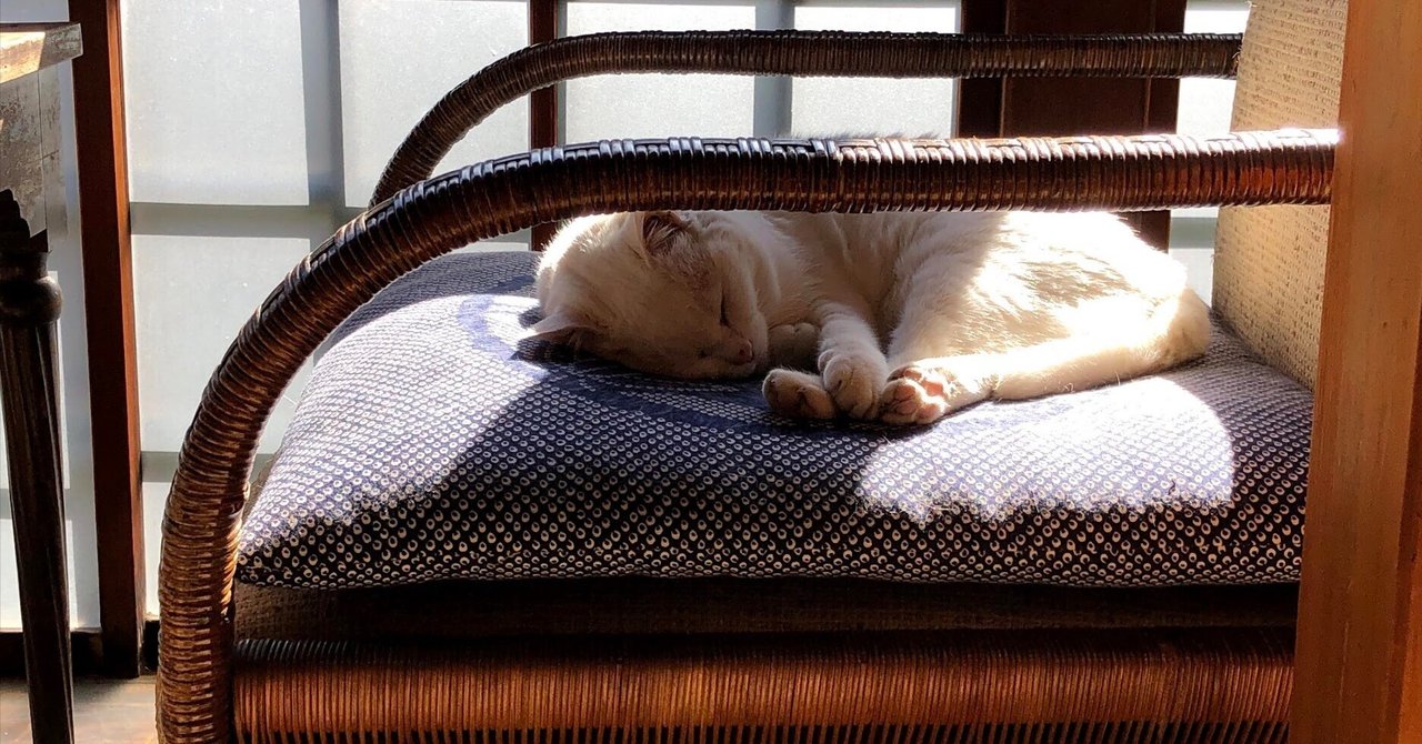 混むんだぜ、秋の京都｜ippei shimamura