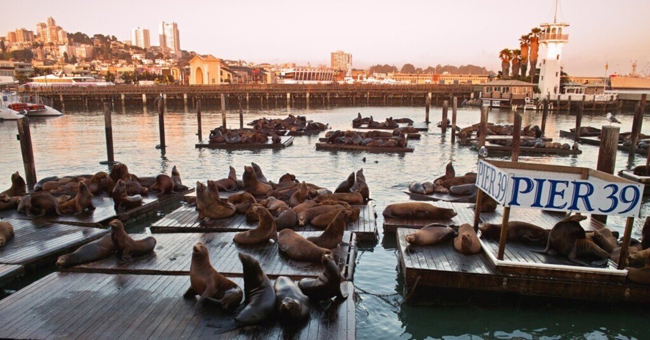 いつかふたりで（前編）｜真伏博士