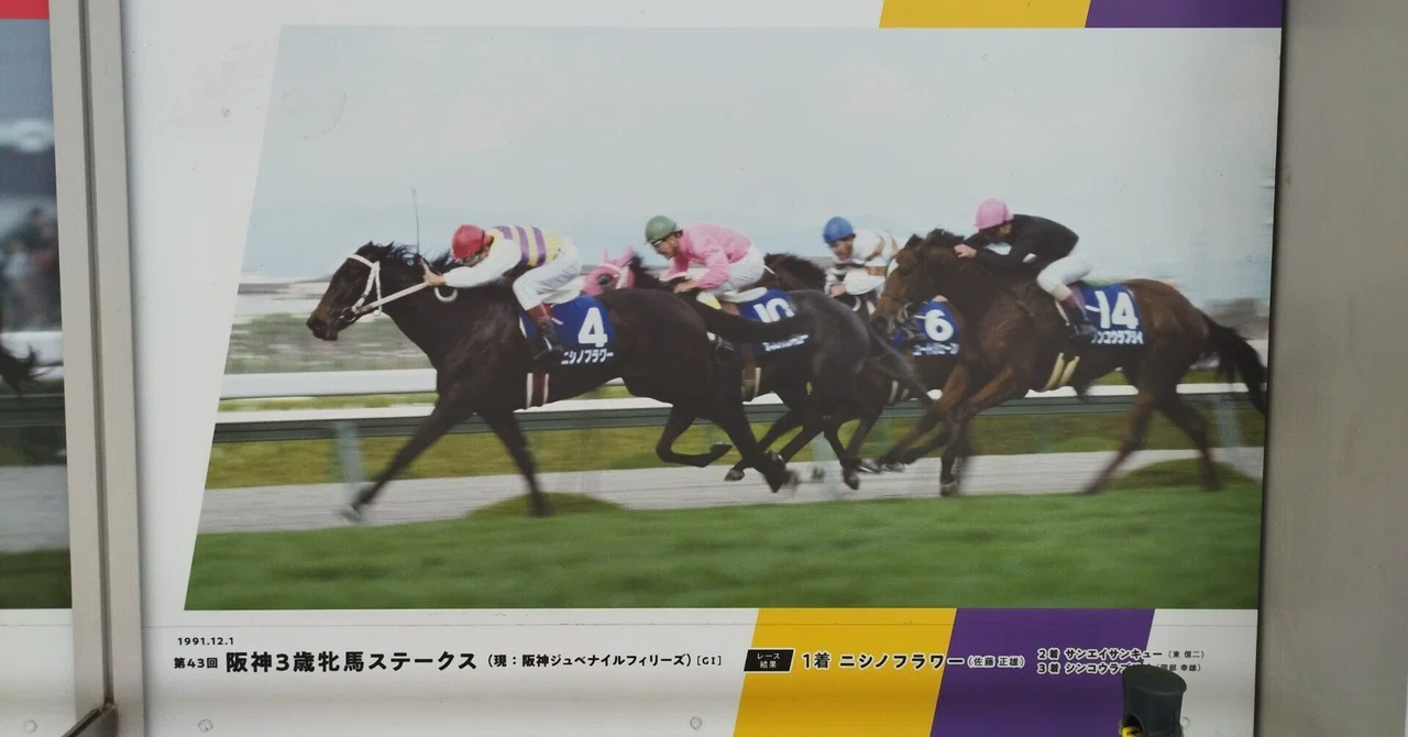 R7/11/30(日) GⅢ・京阪杯 京都芝1200m ｜kazma