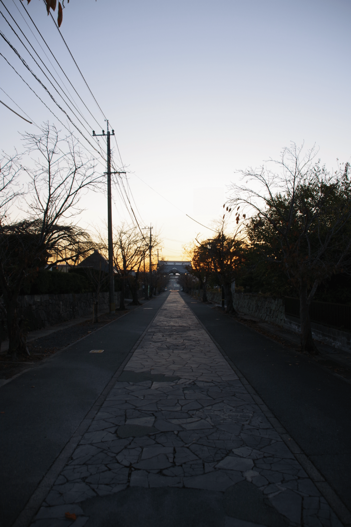 【つぶやき】朝散歩｜むらしょう(Sho Nishimura)