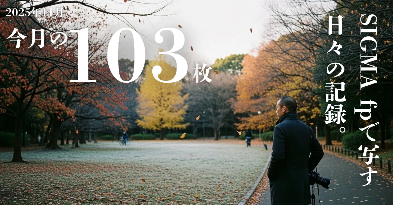 SIGMA fpで写す日々の記録。2025年11月 今月の103枚｜トム・イシカワ（石川 智規）｜WEBSTAFF, Inc.