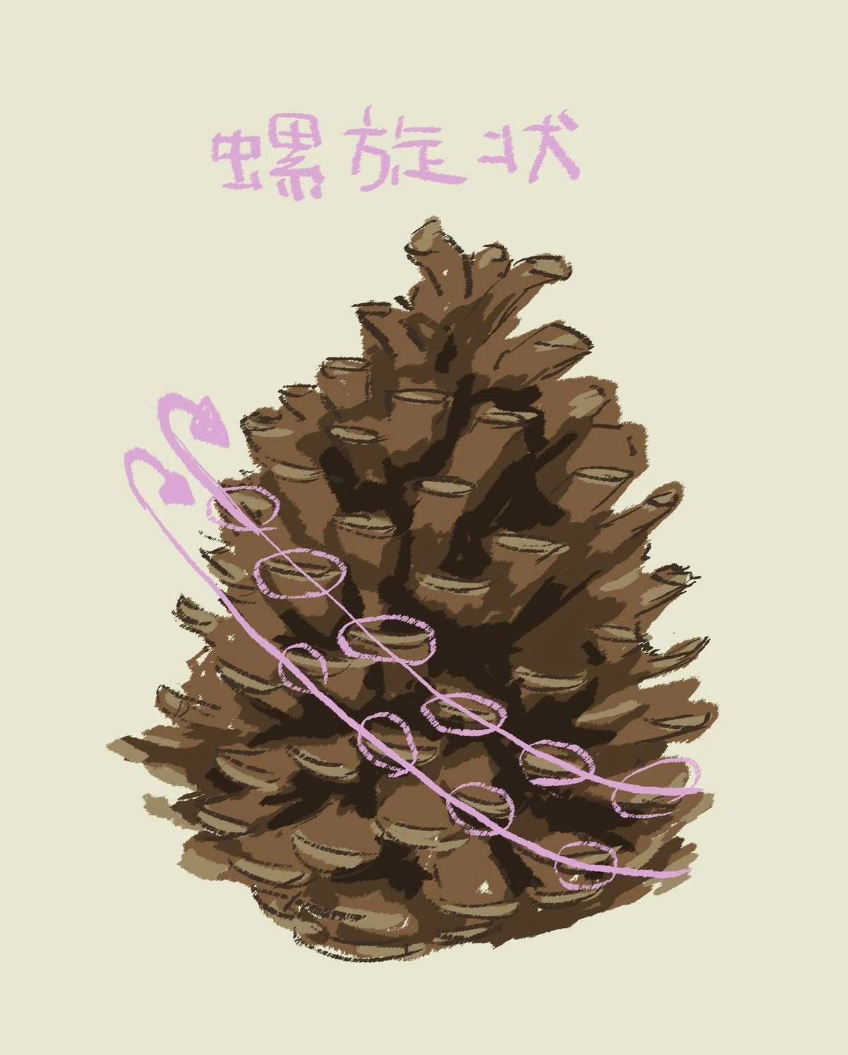 アメリカの美大で学んだこと01：知ると良く描ける｜Kenta Shimbo