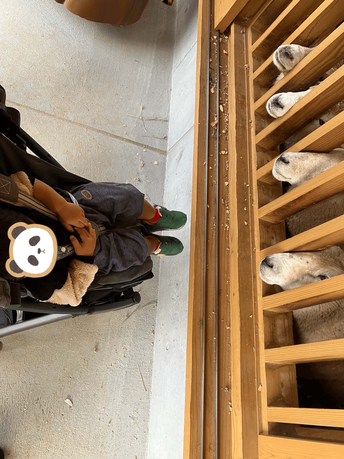 【育児日記】今年最後の遊び場！チビとハーベストの丘いってきた！｜てん子