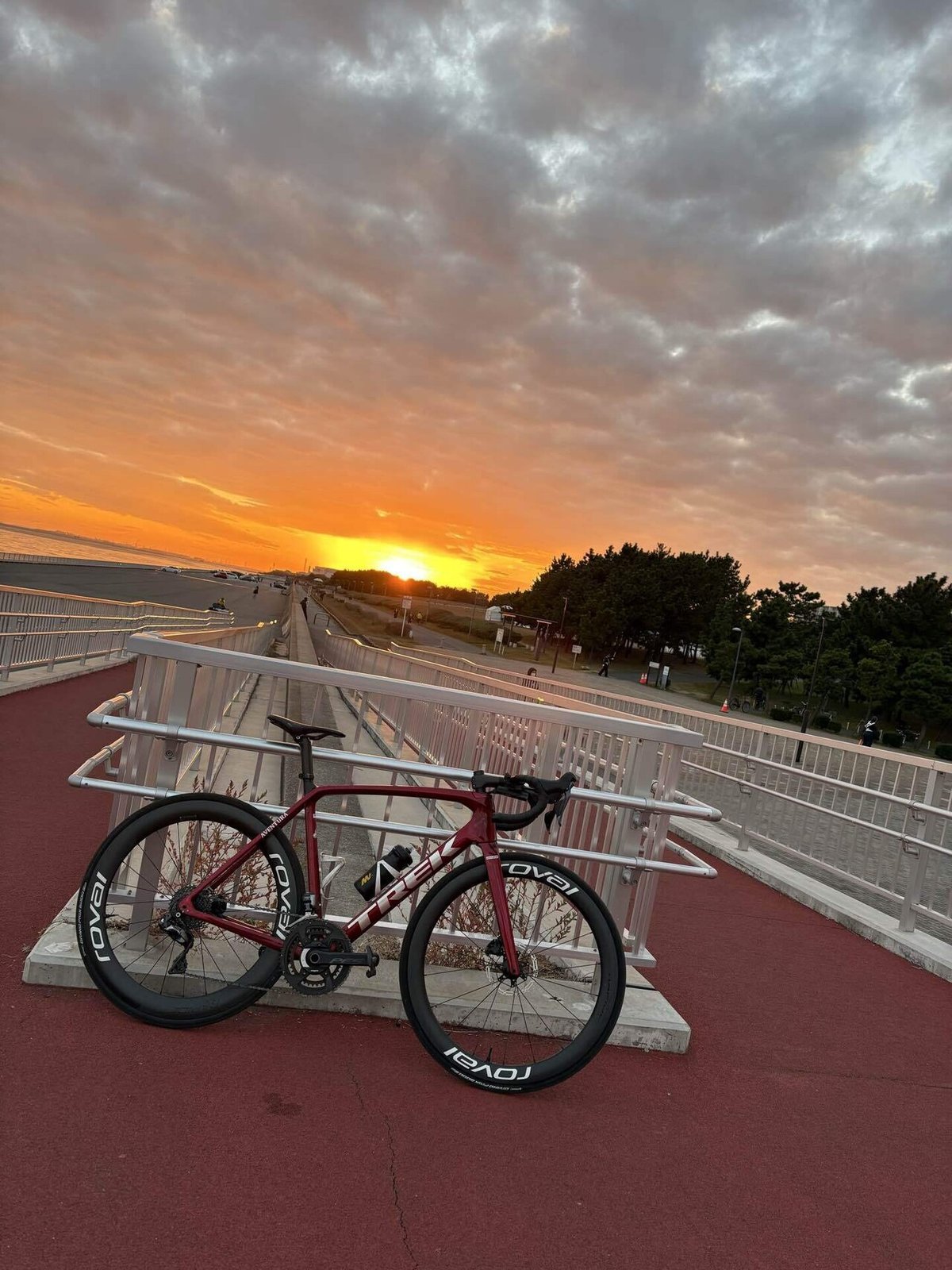 JBCF最終戦浦安クリテリウムE1｜住田悠人