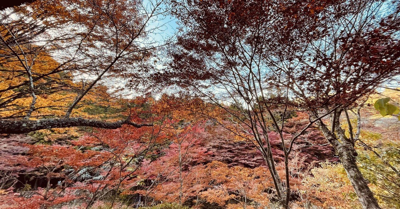 ひとりごと｜くみさん