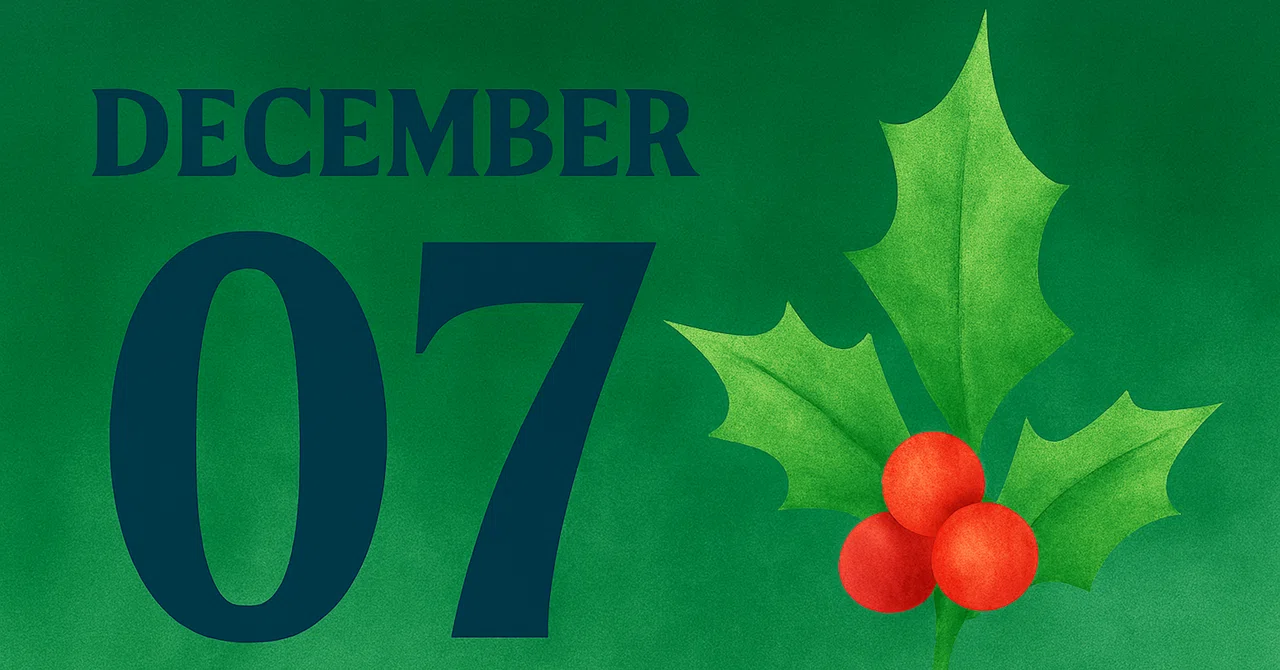 ADVENT CALENDAR 1207｜みわからす