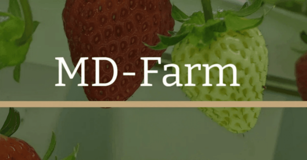 MD-Farmが発足するまで（18）：Oishii Farmへの参加｜松田祐樹＠MD-Farm