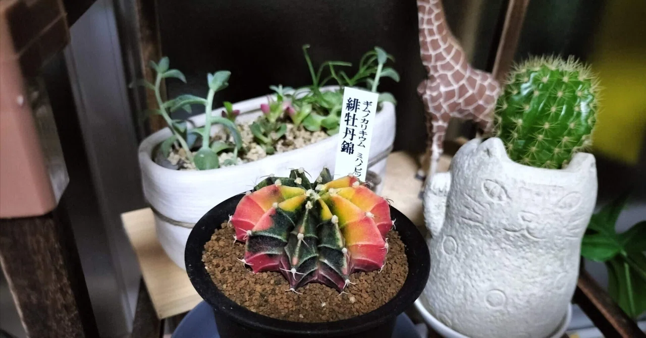 植物たち｜hutari_neko3