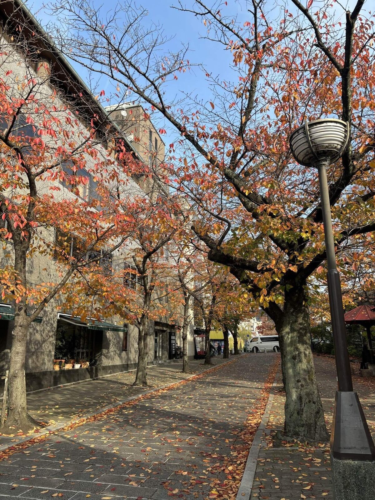 京都を散策下見🍁｜Ayako_ Shanghai