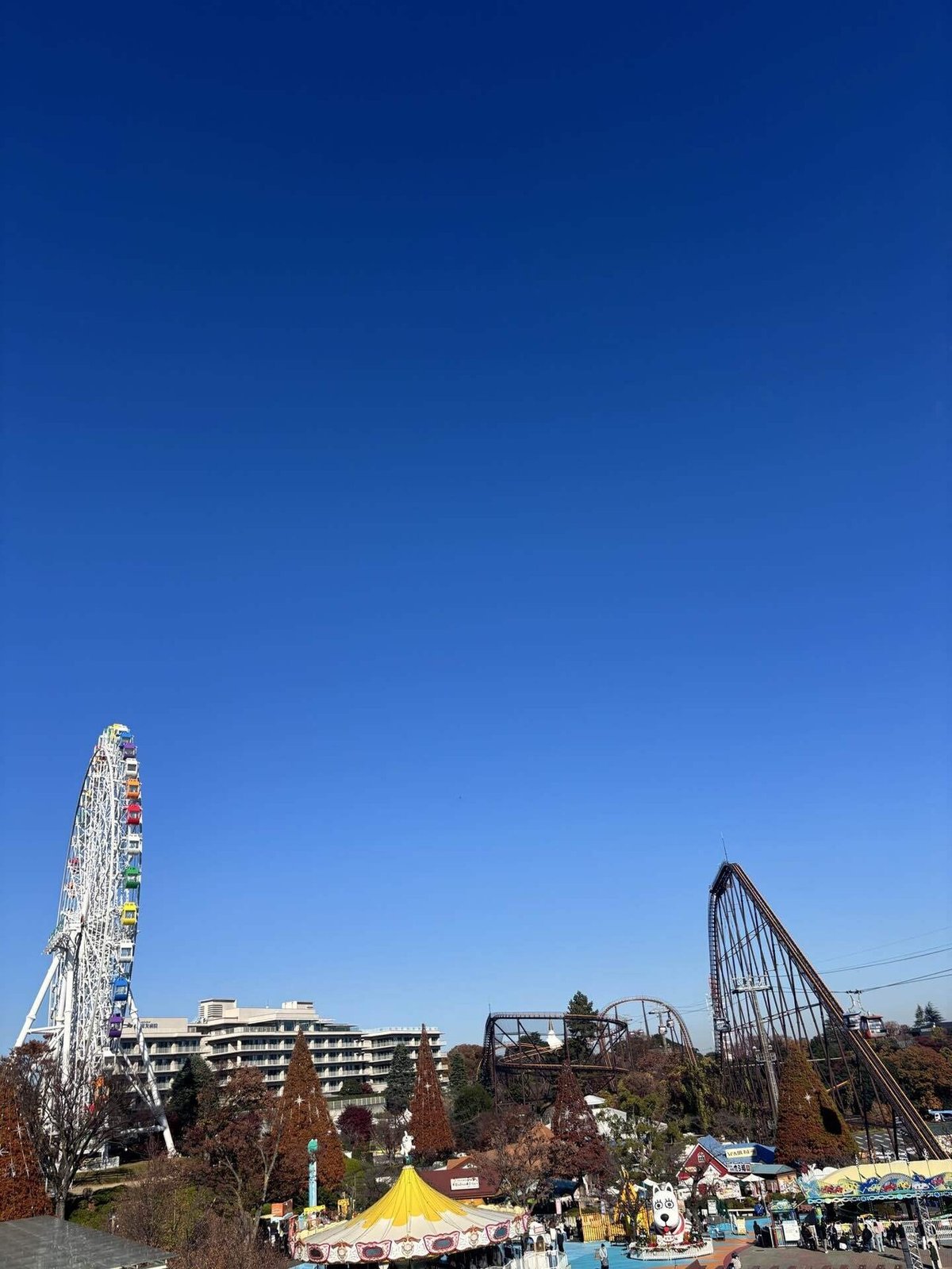 私を日向に連れ出して-2025.12.01-｜hal_da_yo_