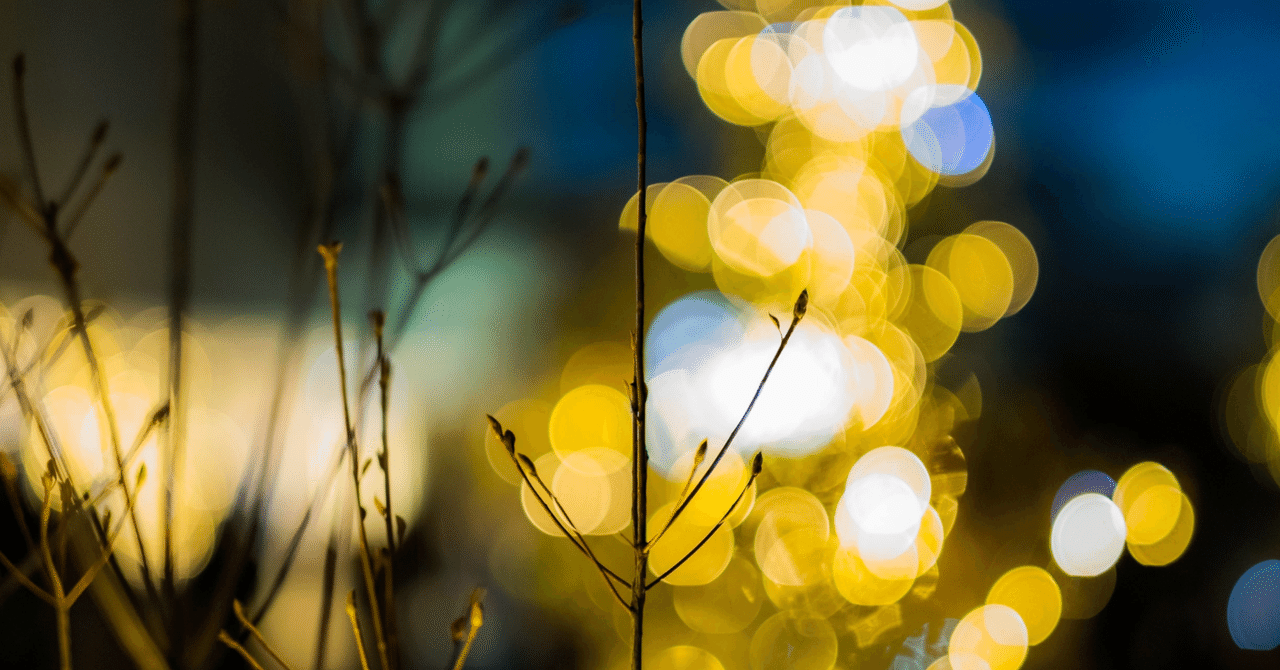 12月になった！｜ 中園カル