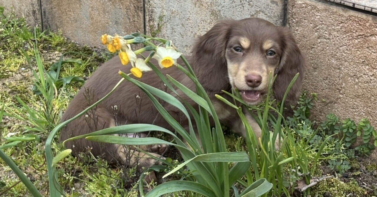 お久しぶりです｜三宅里菜 Rina Miyake