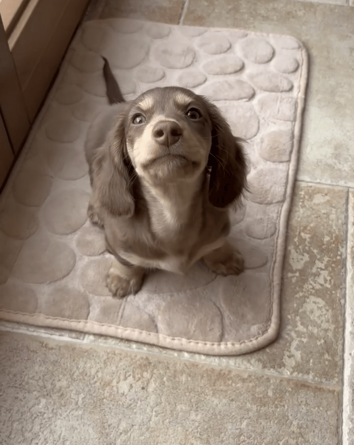 お久しぶりです｜三宅里菜 Rina Miyake