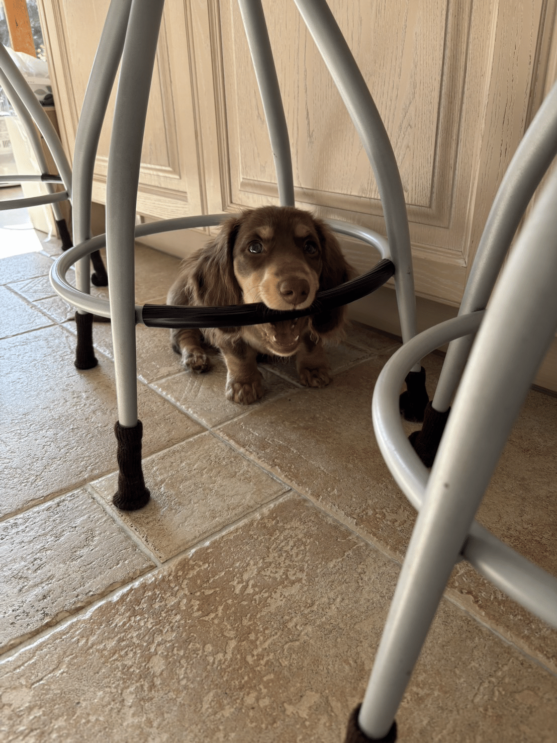 お久しぶりです｜三宅里菜 Rina Miyake