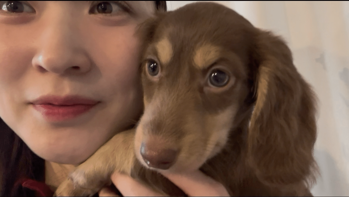 お久しぶりです｜三宅里菜 Rina Miyake