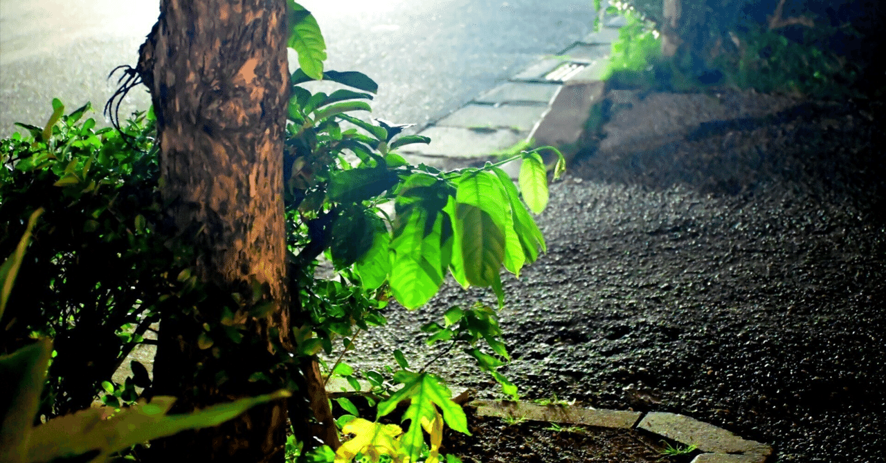 小説 熟年離婚（その22）｜Kohei Sasaki