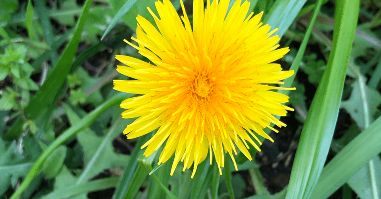 本当にやさしい人たちへ3｜Daisuke Matsuzaki