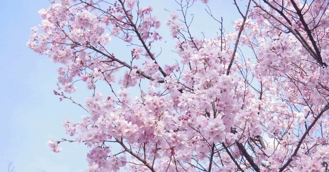 お金の不安を手放す！7日間セルフワークプログラム Day7｜Akkie（あっきー）｜人間関係＆お金のブロックを解放する専門家