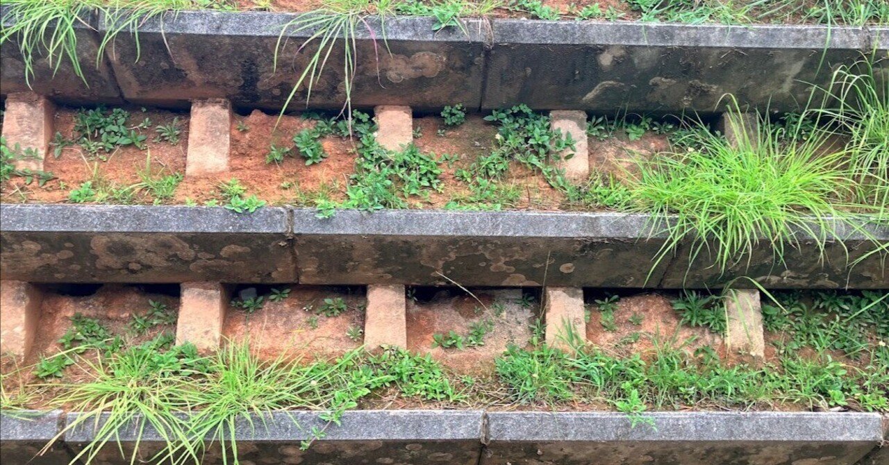 ピアノレッスン5回め｜shono