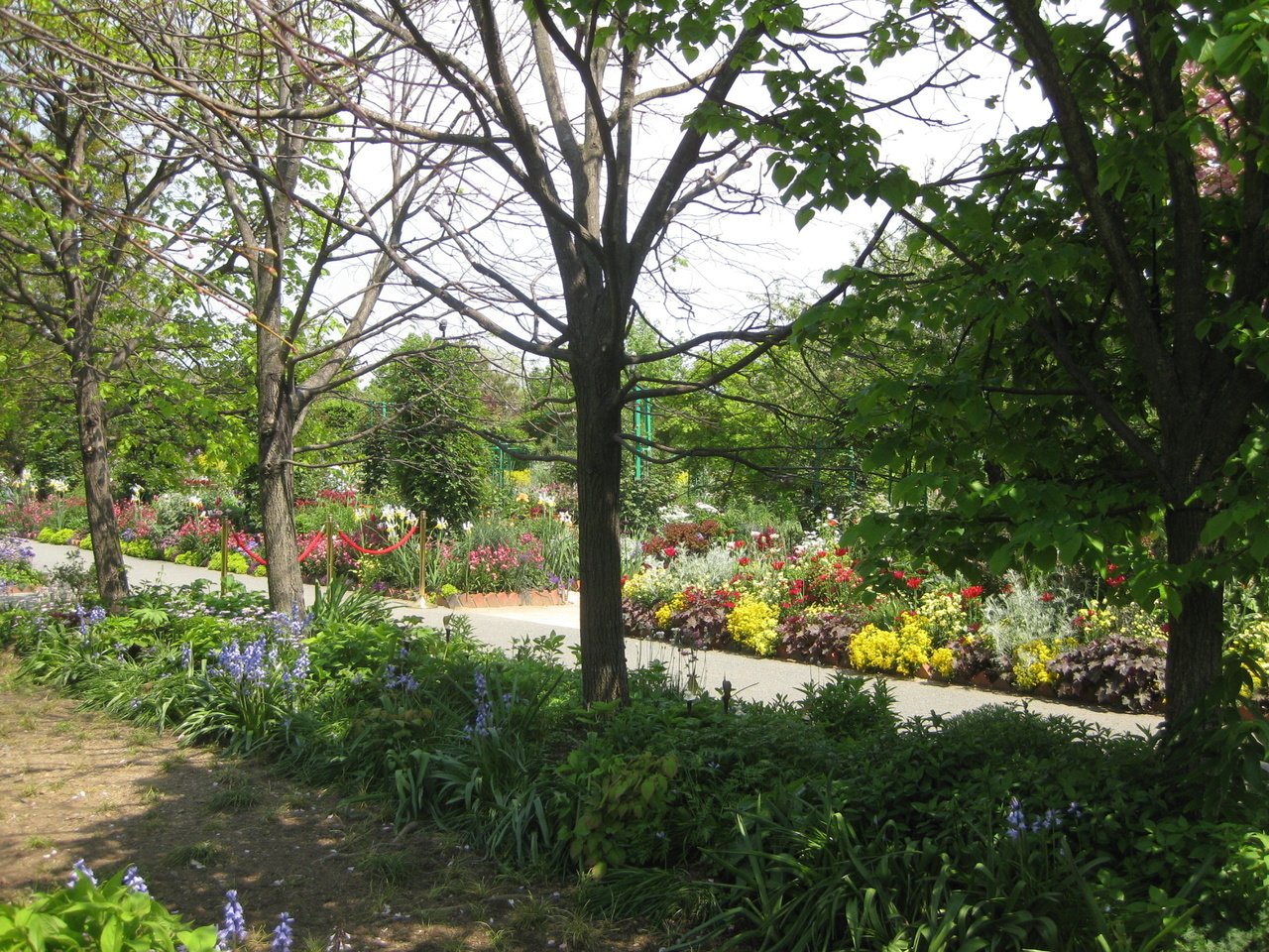 花の小道｜pasun