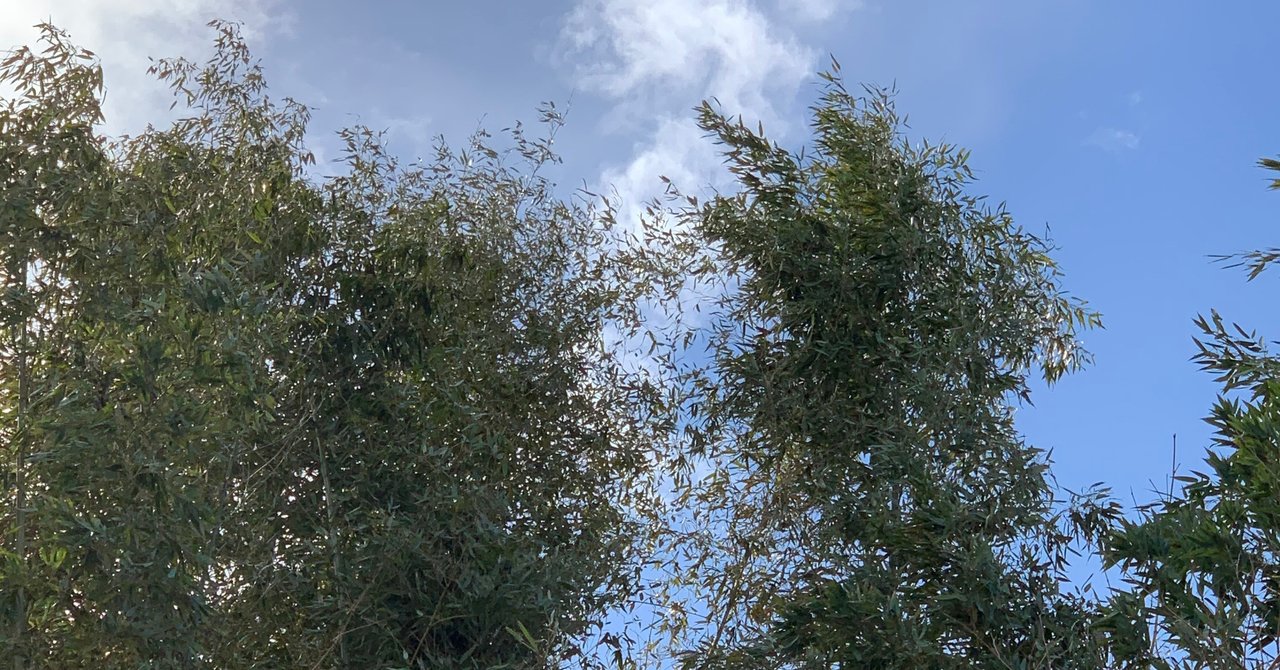 木工作家 今池七重さんの「家で過ごす時間」｜きょうこ｜暮らしとうつわのお店 草々