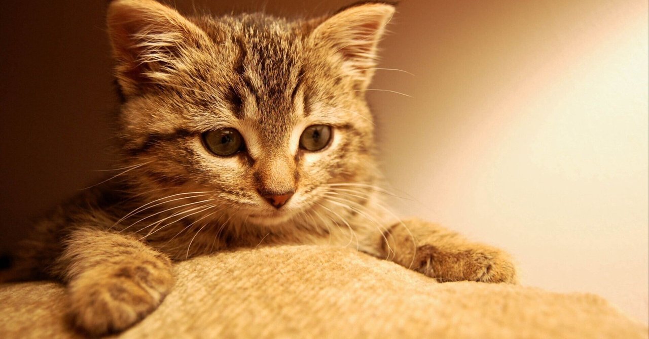 noteを始めてみる｜neco