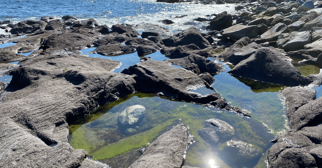 マクロとミクロと共に在る暮らし｜観音美住cannobis