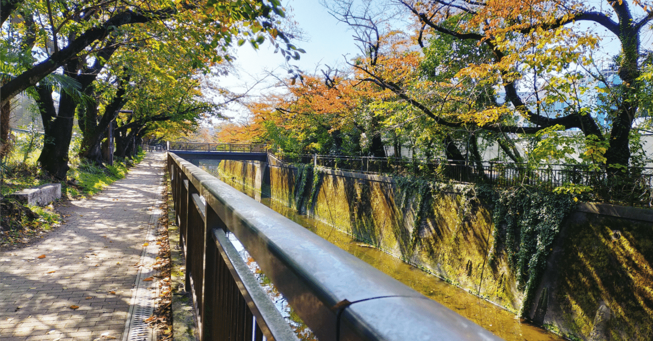 TOSSY ではじめる銀とトルコリラ円観察日記 4 日目｜正則化項つきで最小化された政府