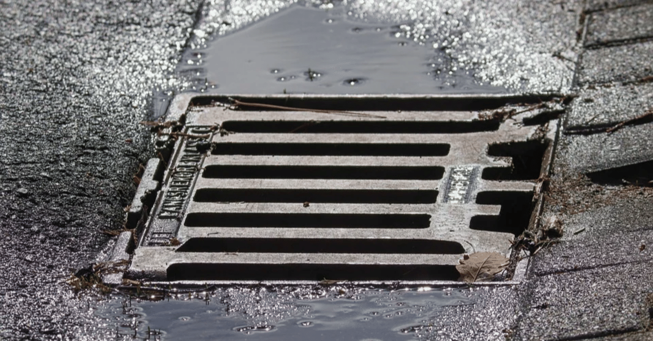 570/1096【往復書簡】ドブの中に愛を見ろ｜菅 美智恵 (壇珠-たんじゅ-)