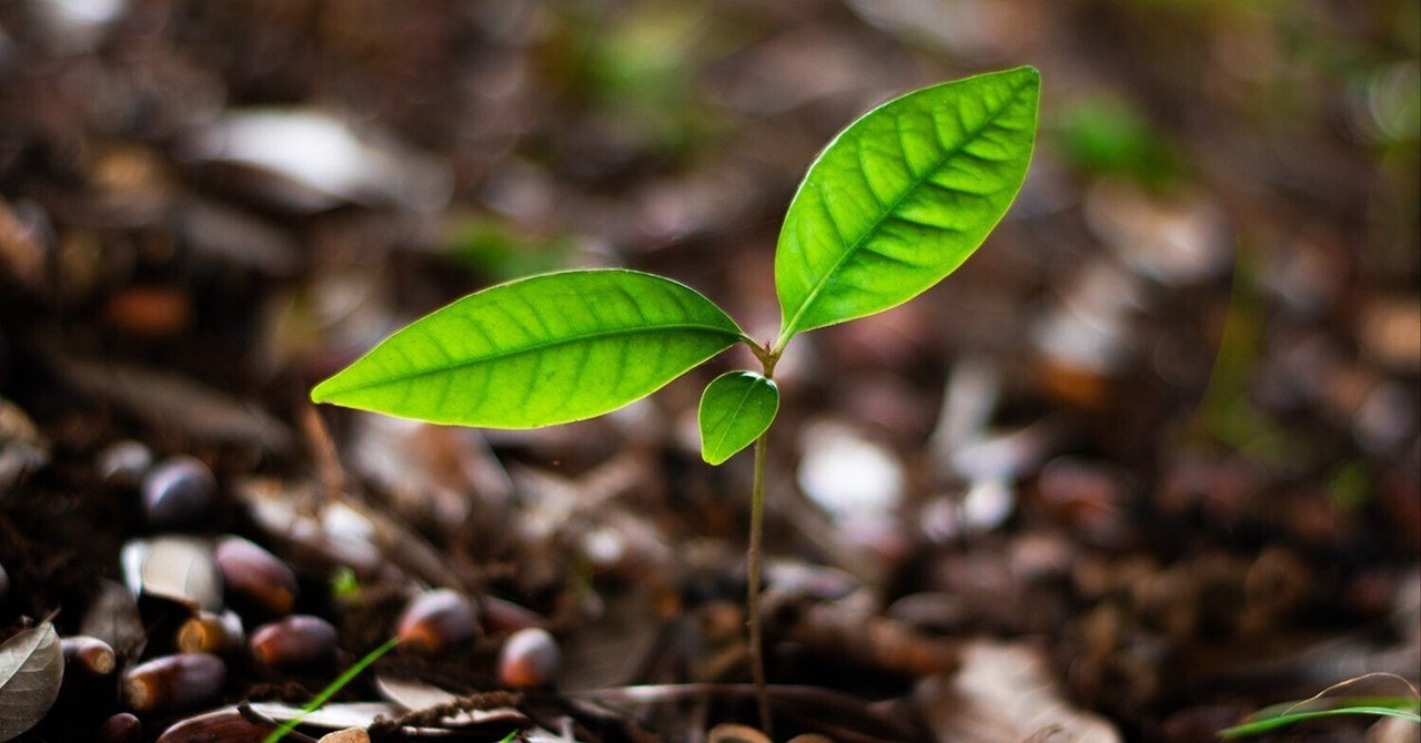 不安を抱えつつも必死で生きています②｜mizu_code