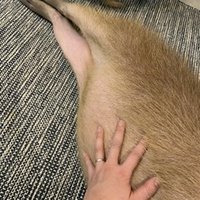 佐藤文香 Sato Ayaka｜note