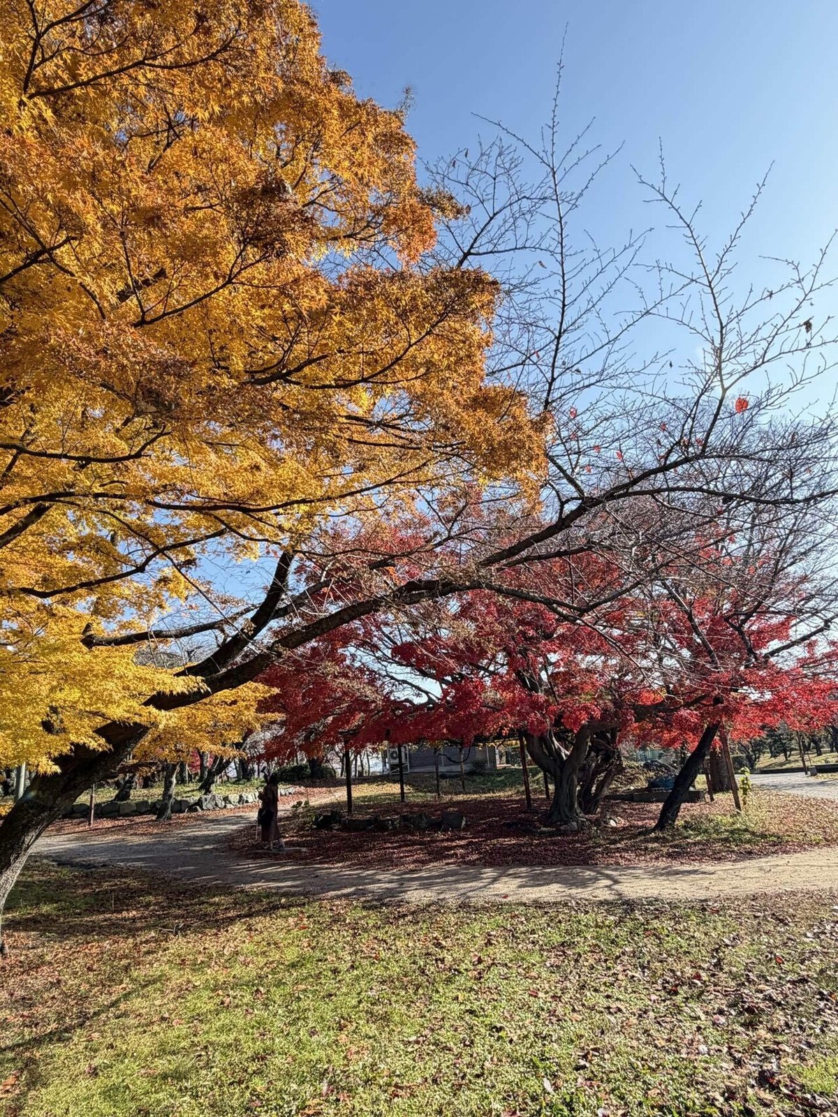 旅日記 秋の滋賀①（長浜）｜tsukiko