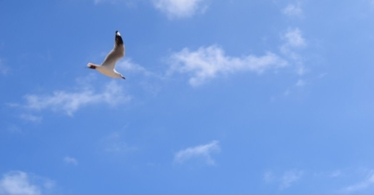 哀れな存在だ、と考えることをやめる｜津田麻紀子