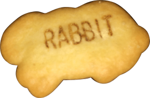 𝕦𝕤𝕒𝕘𝕚 🐇｜note