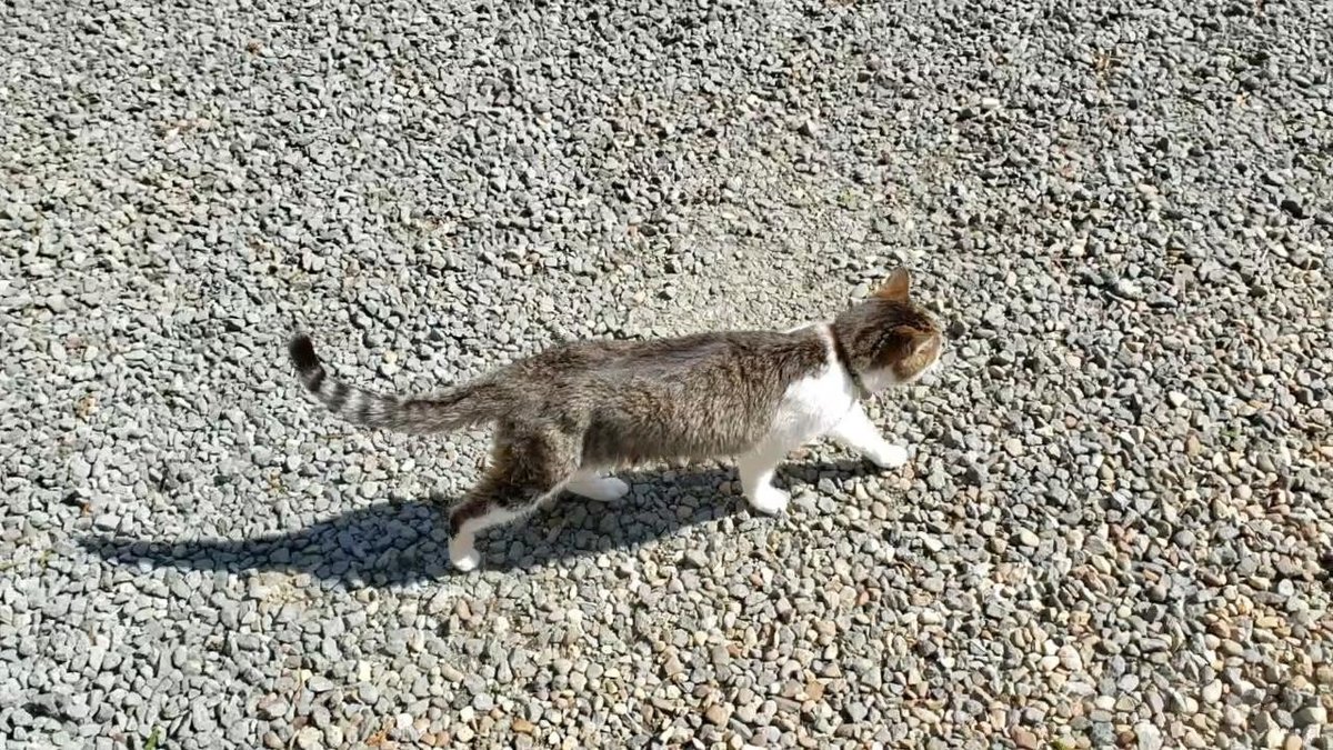 羽生結弦くんファンの聖地 宮城県大郷町羽生天神社｜宮城県大和町親善大使 髙橋秀和