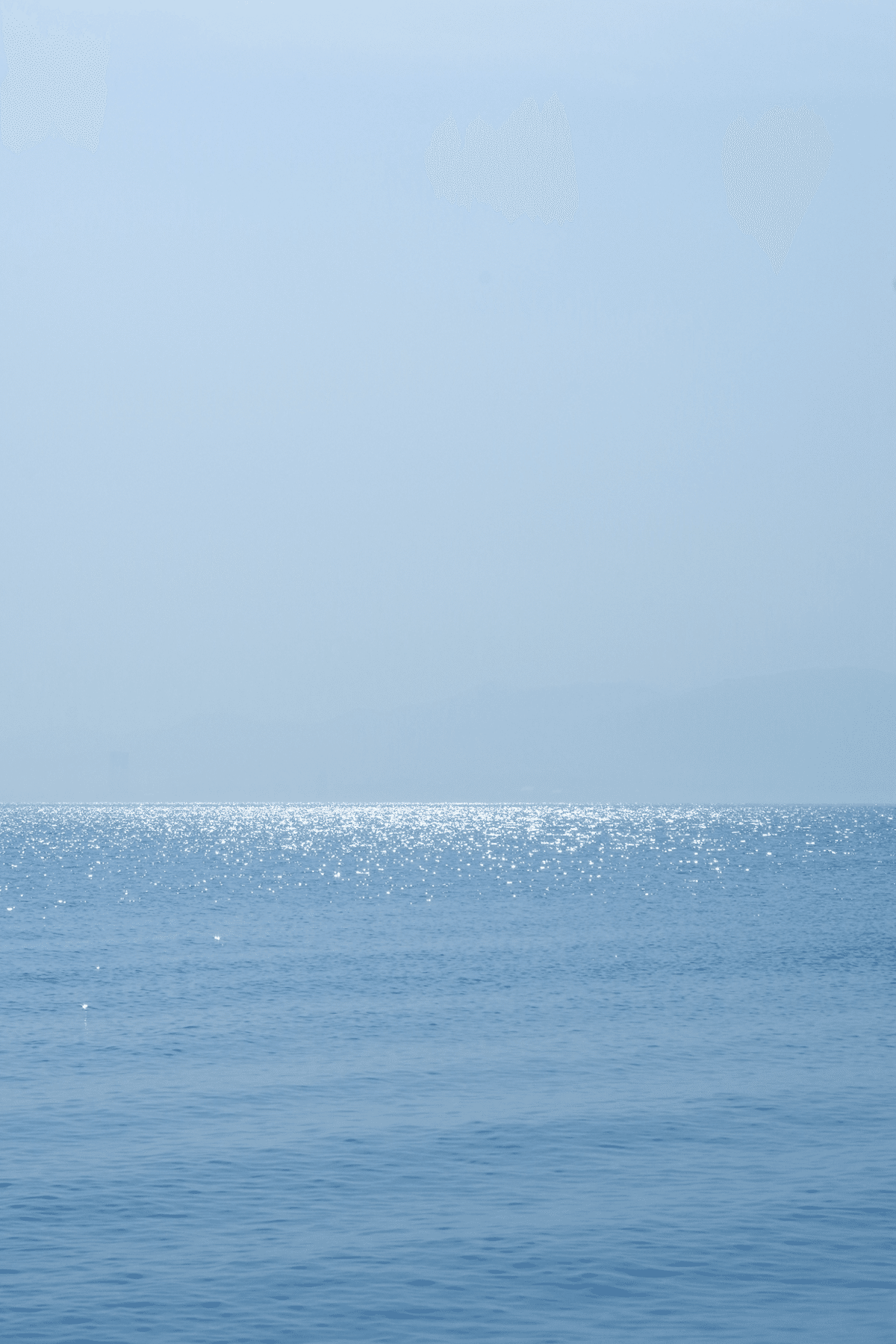 2025年ベストフォト12枚(と、その思い出)｜湖畔えり(湖畔books)