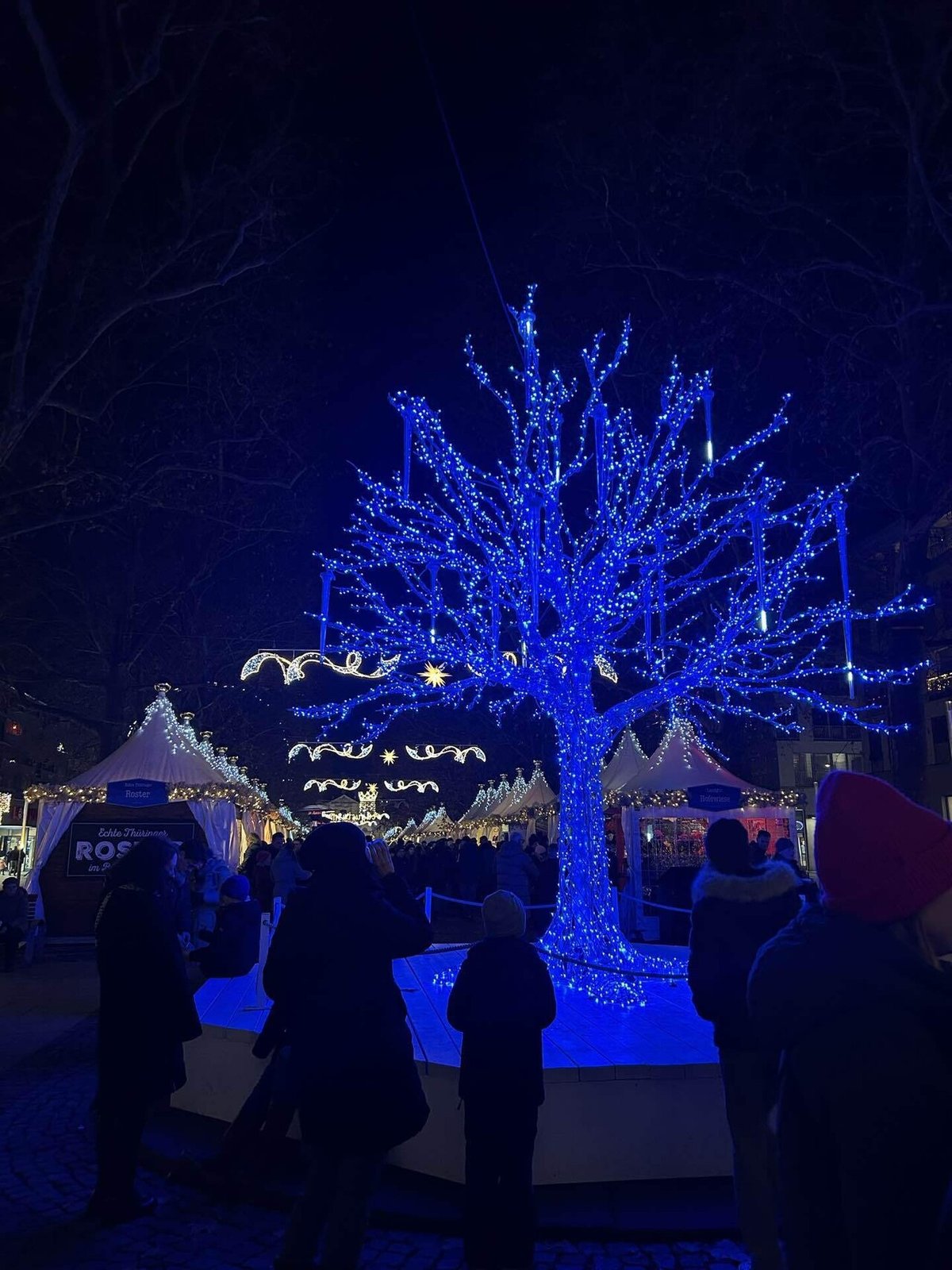 【ドイツ旅行】🇩🇪🎄11/30-12/3ドレスデンクリスマスマーケット編｜Ikumiエストニア留学日記🇪🇪