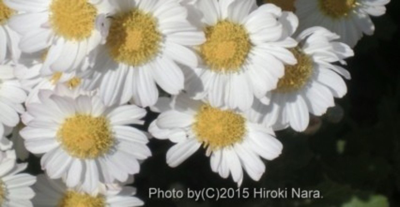 NY原油先物、史上初のマイナス コロナで供給過剰に｜hiroki-nara