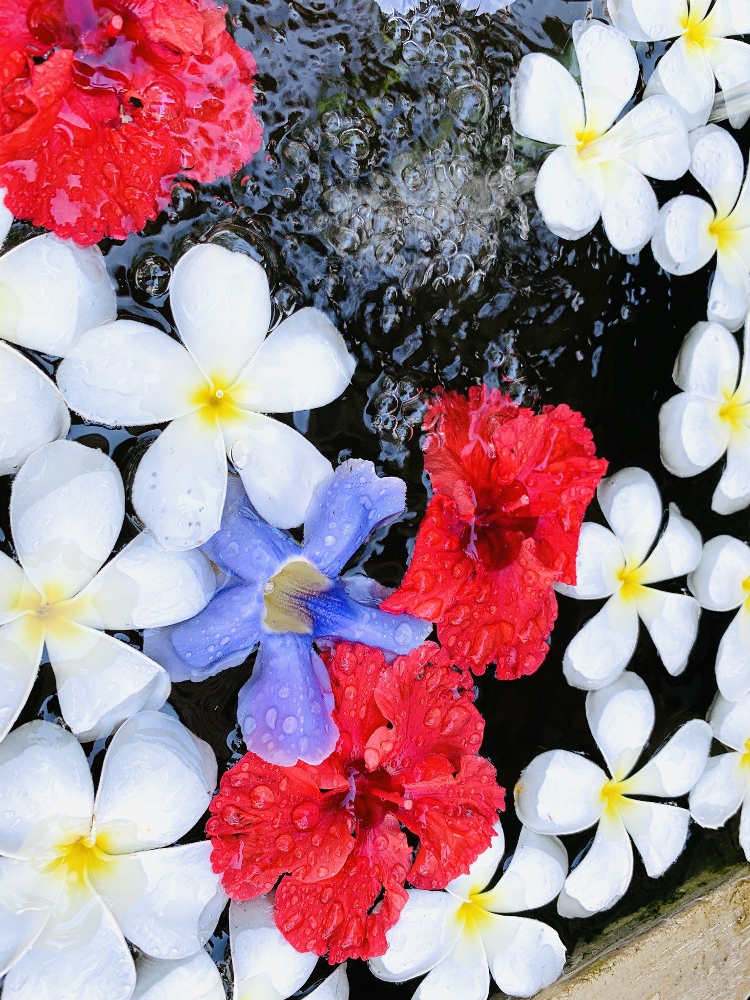 🙌募集中のプラン🙌｜Chiaki Kamuki｜note