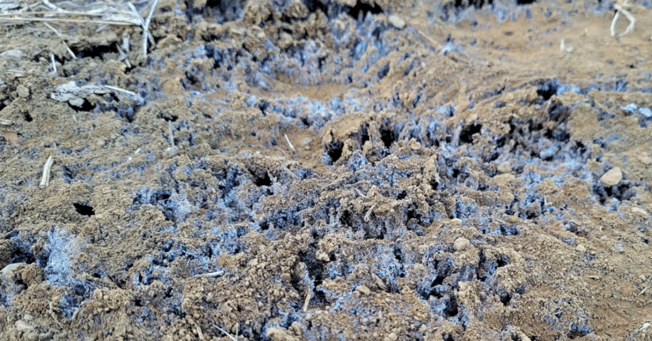 #33 12/4の日向坂46松田好花のANNXの感想＋私にとってラジオとは何か｜ユートピア