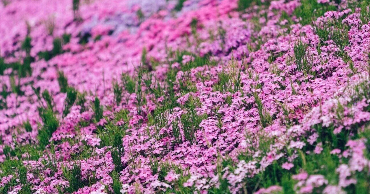 【実践編】死について考えてみよう｜klmno456